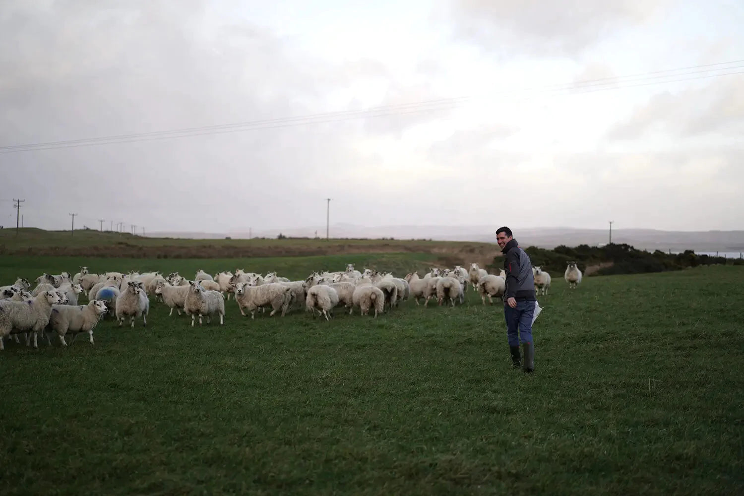 PRÉPARATION DU TERRAIN À SHORE HOUSE CROFT – Bruichladdich Distillery